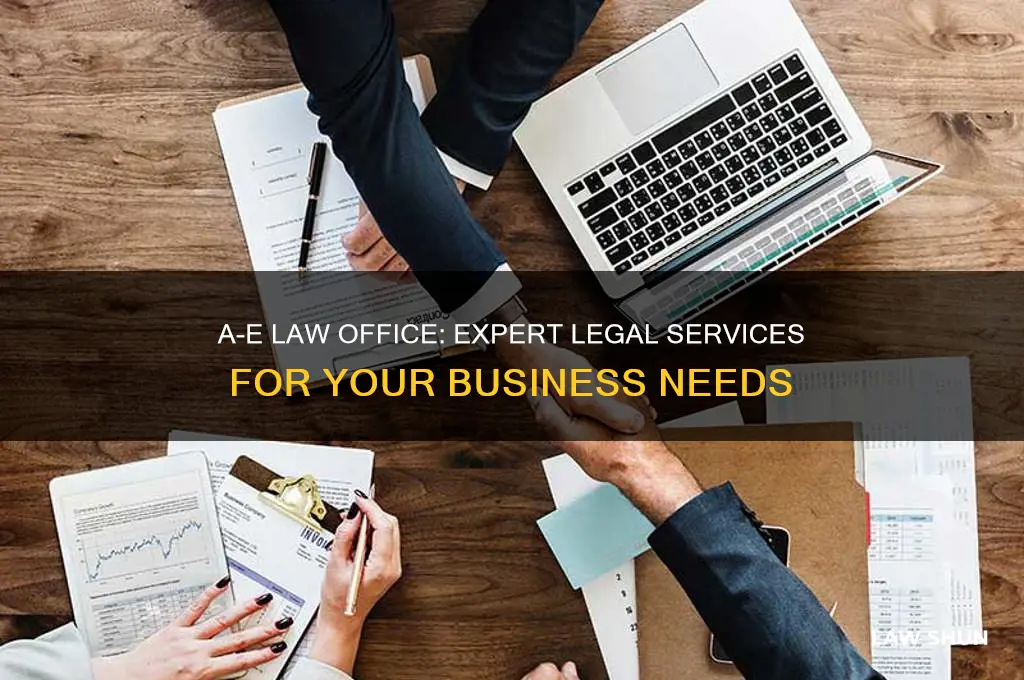 A-E Law Office: Expert Legal Services For Your Business Needs | LawShun
