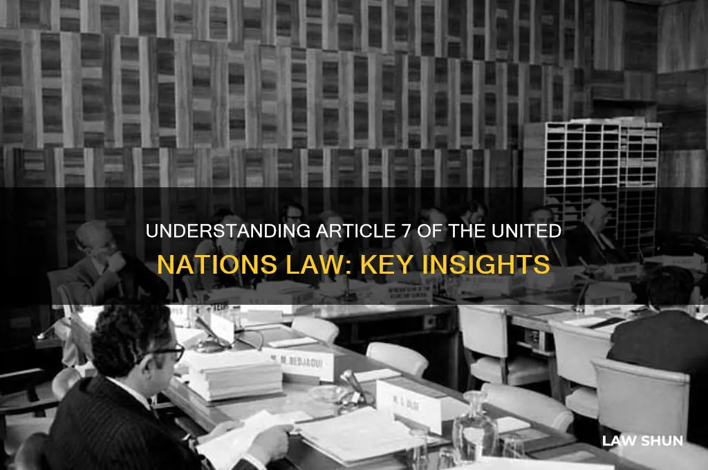 Understanding Article 7 Of The United Nations Law: Key Insights | LawShun