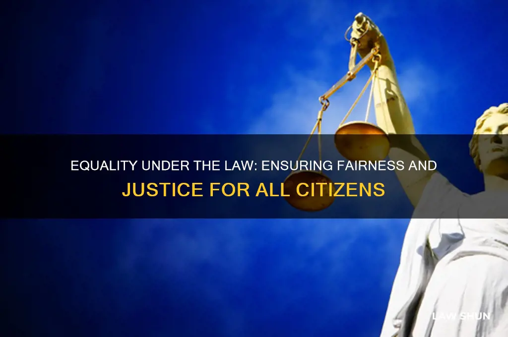 Equality Under The Law: Ensuring Fairness And Justice For All Citizens ...