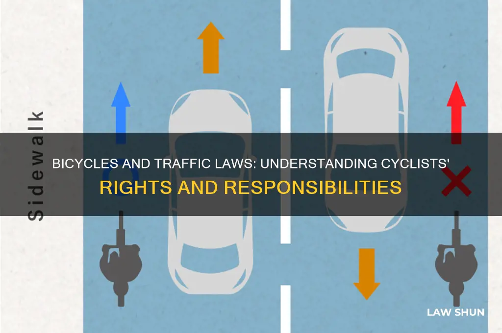 Bicycles And Traffic Laws: Understanding Cyclists' Rights And ...