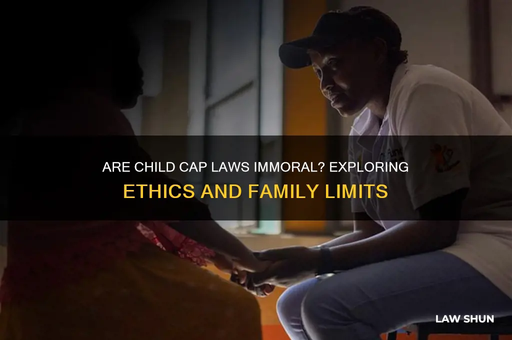 Are Child Cap Laws Immoral? Exploring Ethics And Family Limits | LawShun