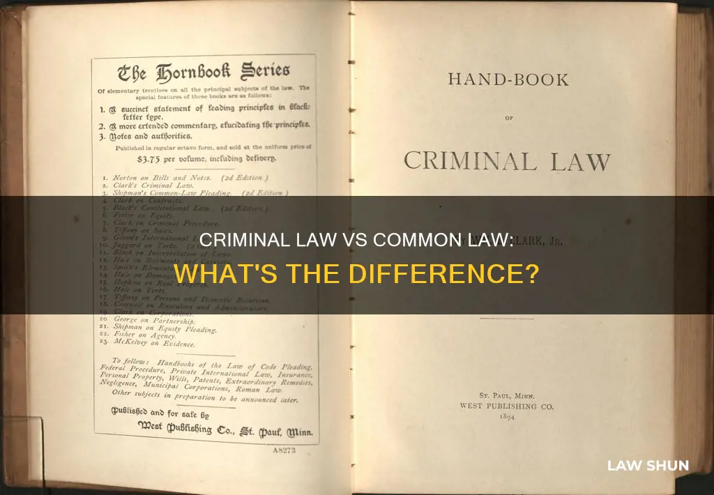 Criminal Law Vs Common Law: What's The Difference? | LawShun