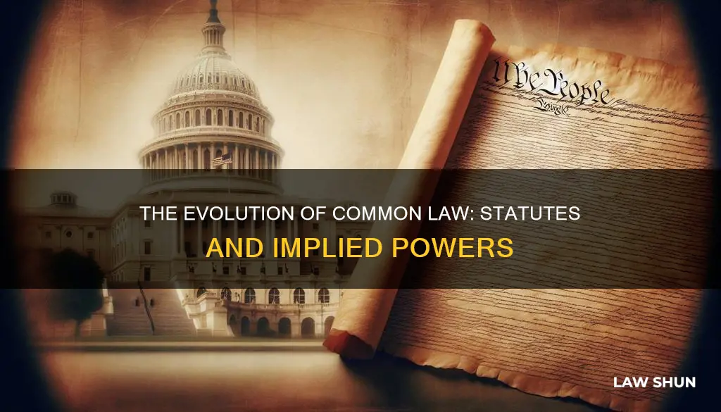 The Evolution Of Common Law: Statutes And Implied Powers | LawShun