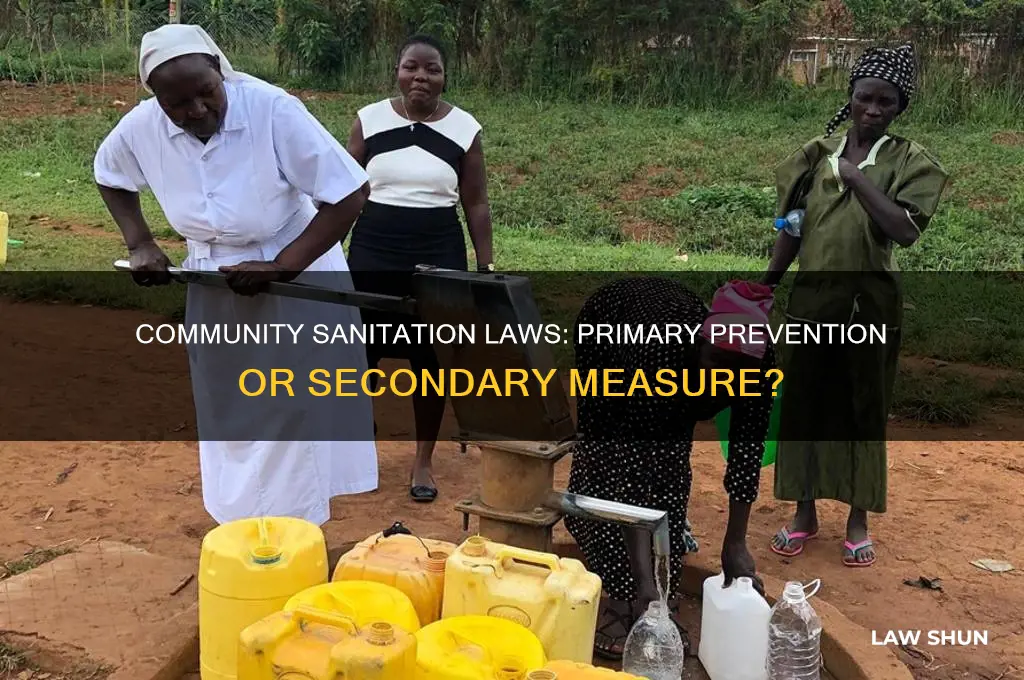 Community Sanitation Laws: Primary Prevention Or Secondary Measure ...