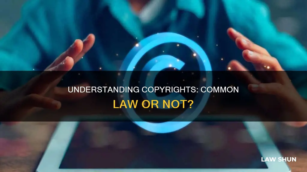 Understanding Copyrights: Common Law Or Not? | LawShun