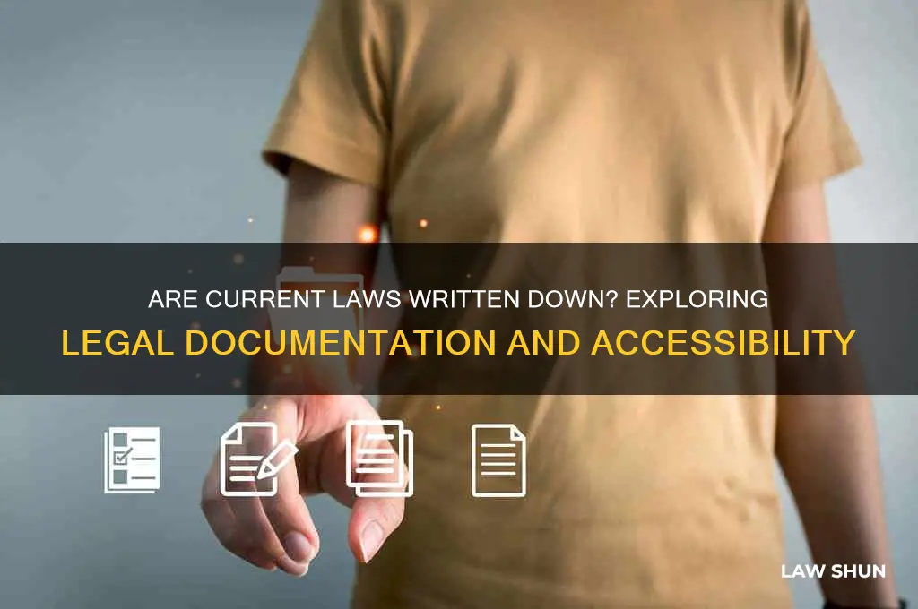 Are Current Laws Written Down? Exploring Legal Documentation And ...