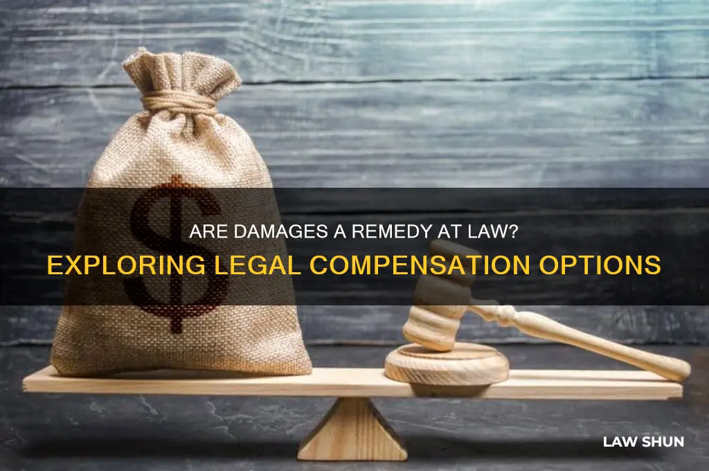 Are Damages A Remedy At Law? Exploring Legal Compensation Options | LawShun
