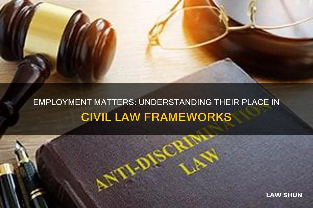Employment Matters: Understanding Their Place In Civil Law Frameworks ...