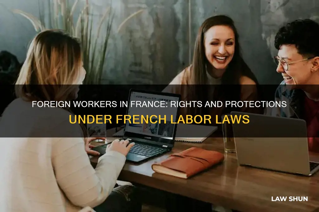 Foreign Workers In France: Rights And Protections Under French Labor ...