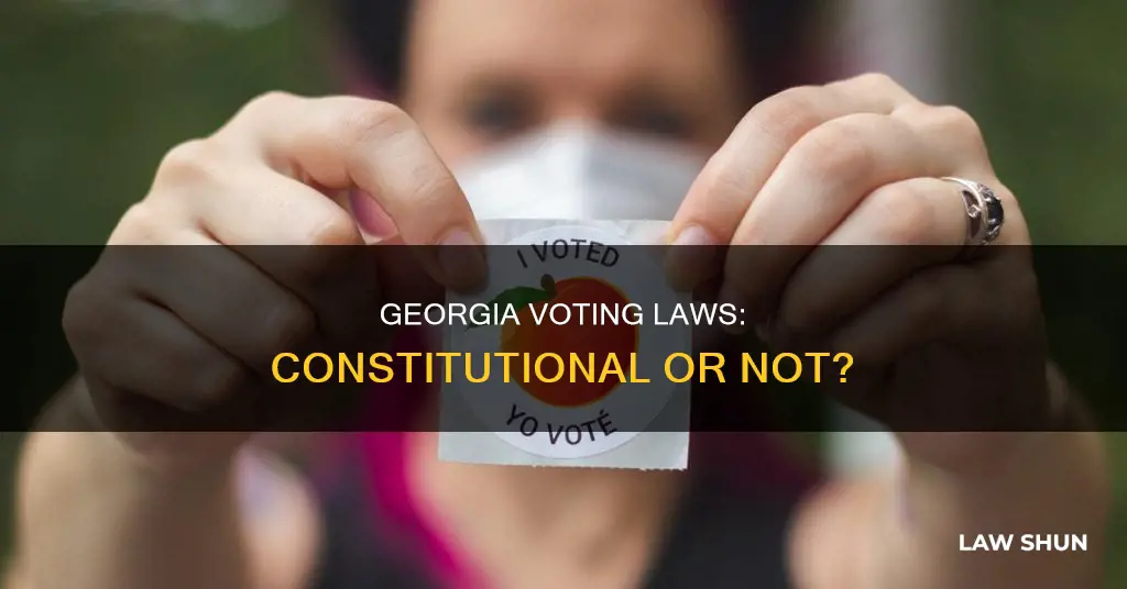 Georgia Voting Laws: Constitutional Or Not? | LawShun