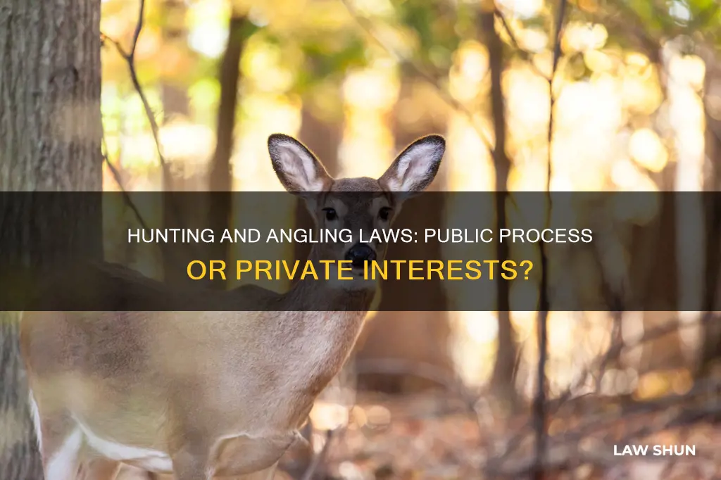 Hunting And Angling Laws: Public Process Or Private Interests? | LawShun