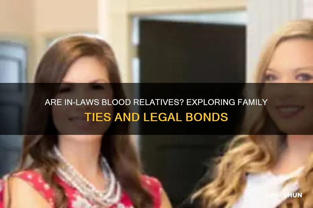 Are In-Laws Blood Relatives? Exploring Family Ties And Legal Bonds ...