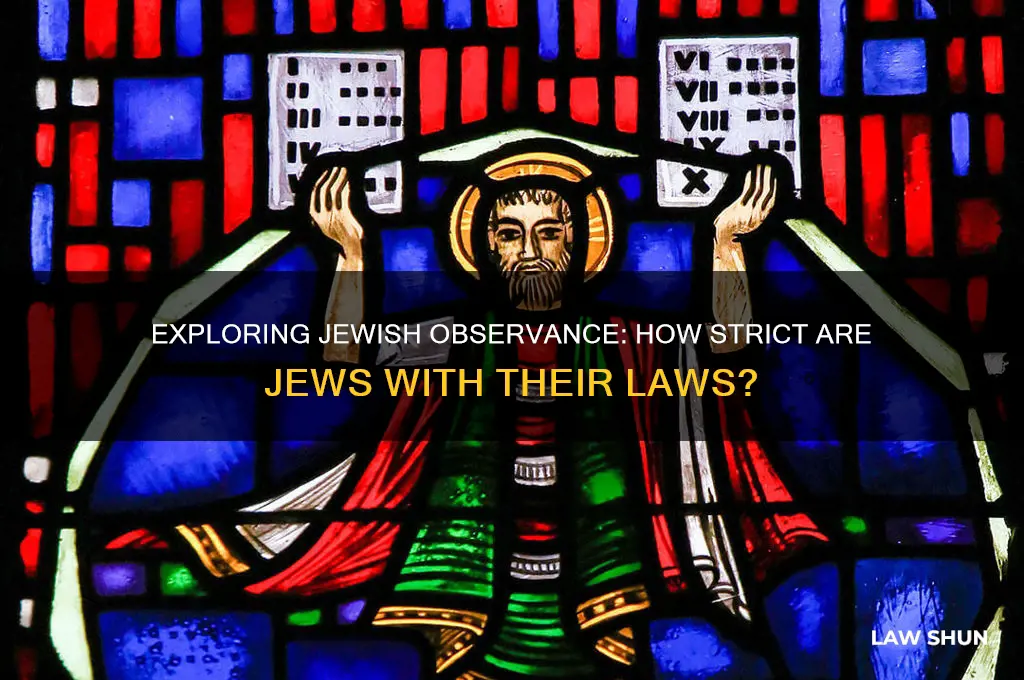 Exploring Jewish Observance: How Strict Are Jews With Their Laws? | LawShun