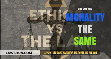 Laws Vs. Bylaws: Understanding The Key Differences And Similarities ...