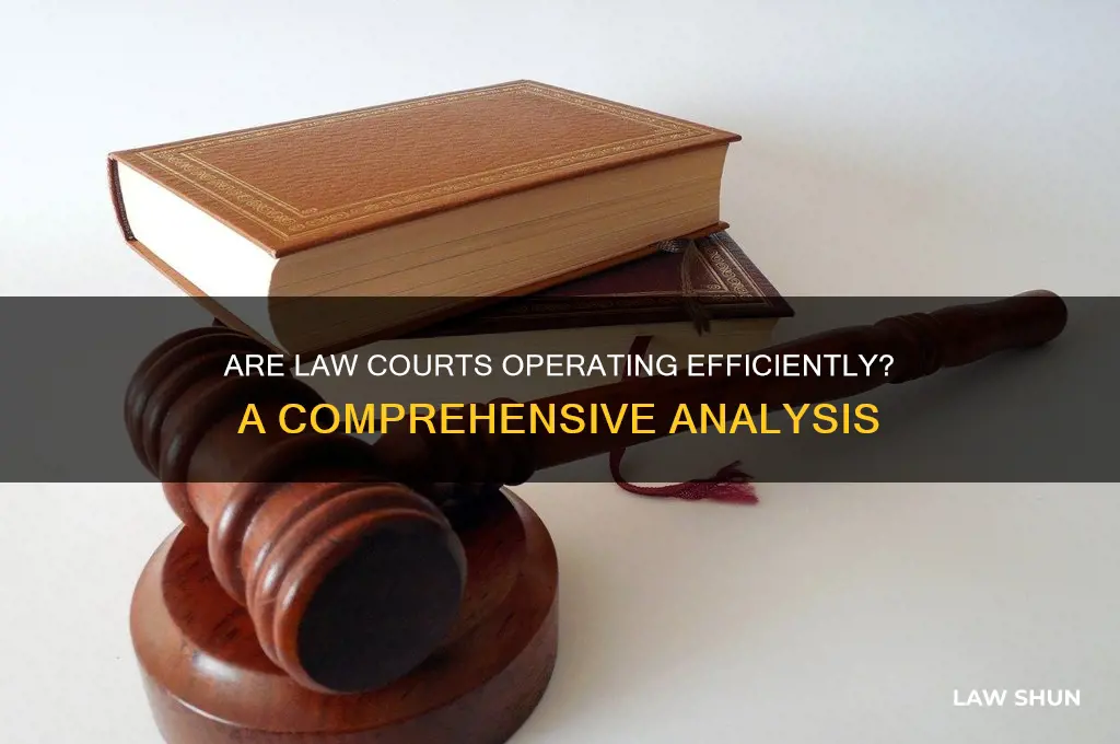 Are Law Courts Operating Efficiently? A Comprehensive Analysis | LawShun