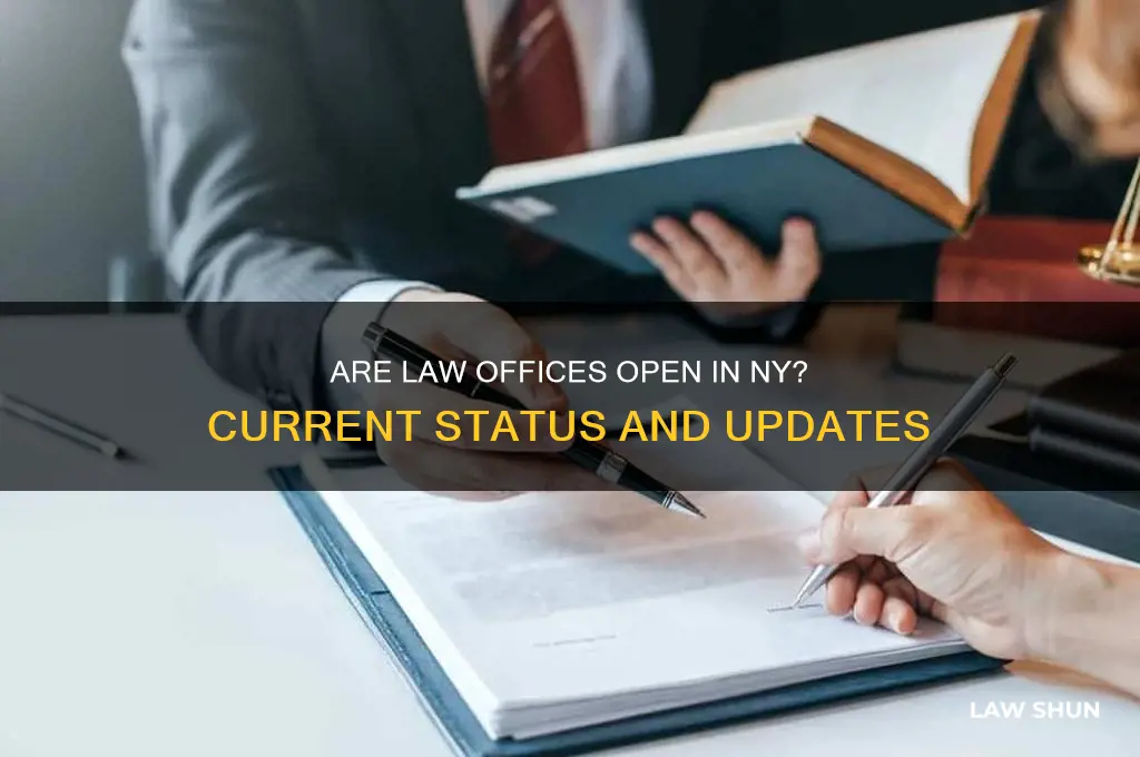 Are Law Offices Open In Ny? Current Status And Updates | LawShun