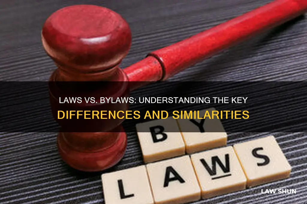 Laws Vs. Bylaws: Understanding The Key Differences And Similarities ...