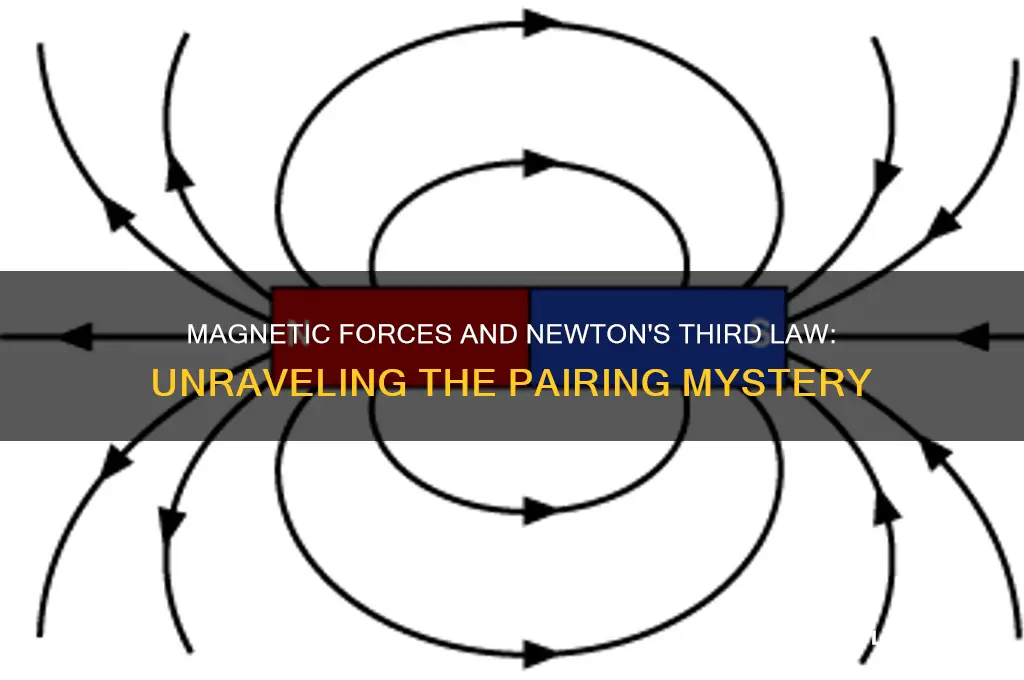 Magnetic Forces And Newton's Third Law: Unraveling The Pairing Mystery ...