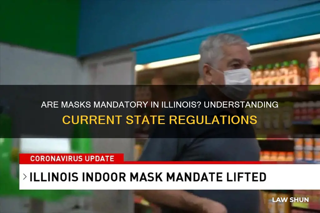 Are Masks Mandatory In Illinois? Understanding Current State ...