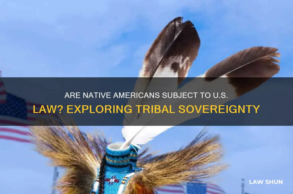Are Native Americans Subject To U.S. Law? Exploring Tribal Sovereignty ...
