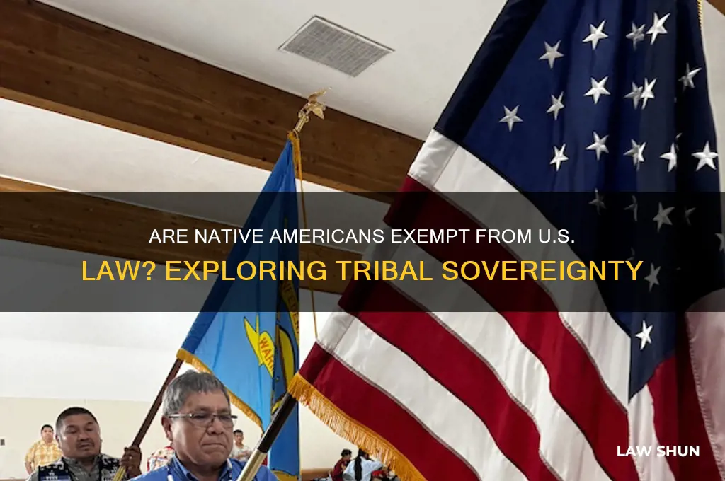 Are Native Americans Exempt From U.S. Law? Exploring Tribal Sovereignty ...