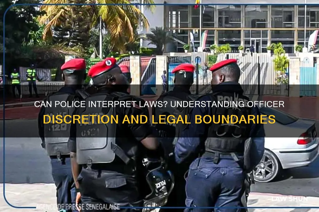 Can Police Interpret Laws? Understanding Officer Discretion And Legal ...