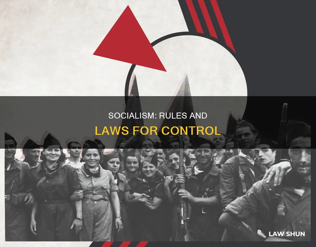 Socialism: Rules And Laws For Control | LawShun