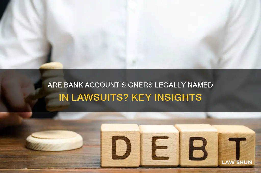 Are Bank Account Signers Legally Named In Lawsuits? Key Insights | LawShun