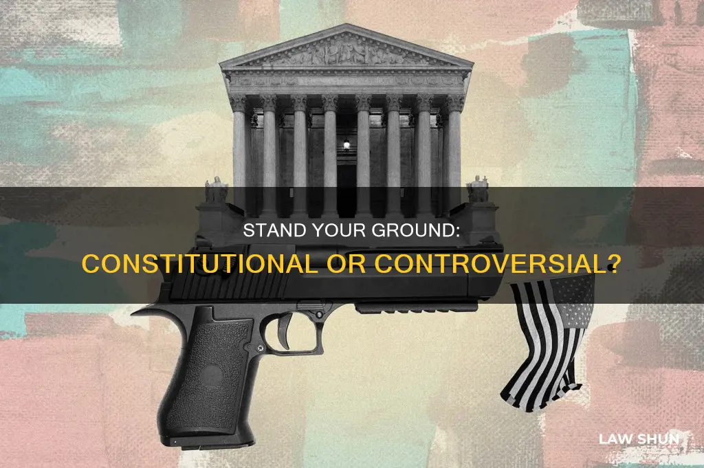 Stand Your Ground: Constitutional Or Controversial? | LawShun