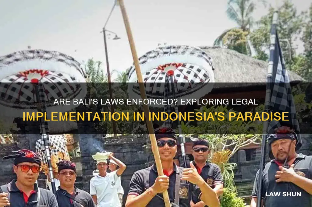 Are Bali's Laws Enforced? Exploring Legal Implementation In Indonesia's ...