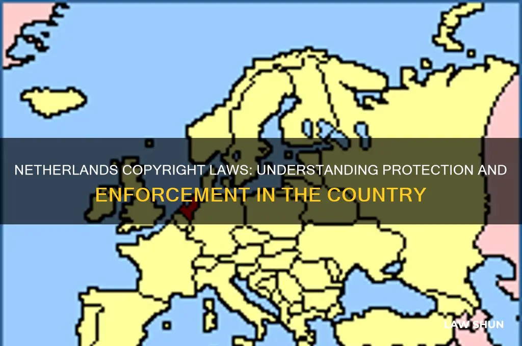 Netherlands Copyright Laws: Understanding Protection And Enforcement In ...