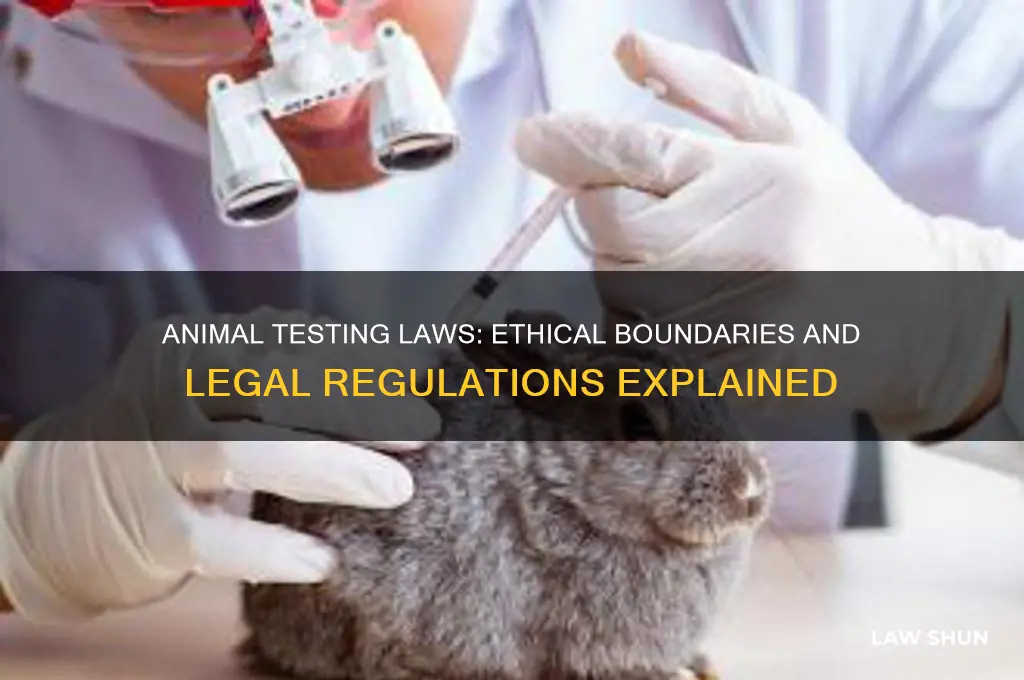Animal Testing Laws: Ethical Boundaries And Legal Regulations Explained ...