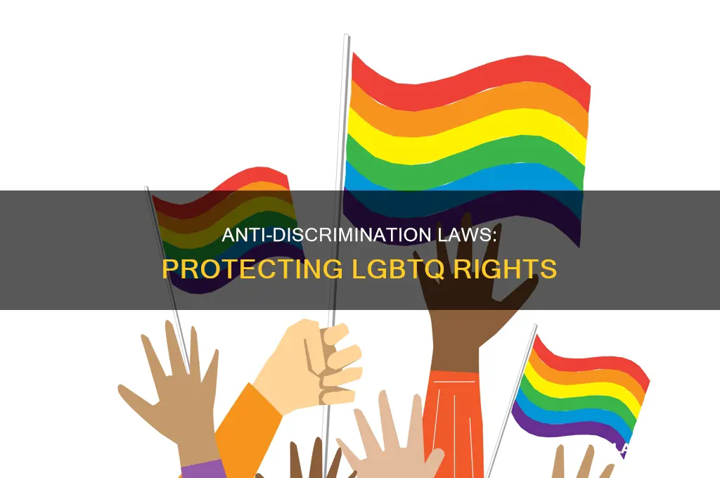 Anti-Discrimination Laws: Protecting Lgbtq Rights | LawShun