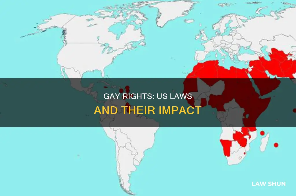 Gay Rights: Us Laws And Their Impact | LawShun