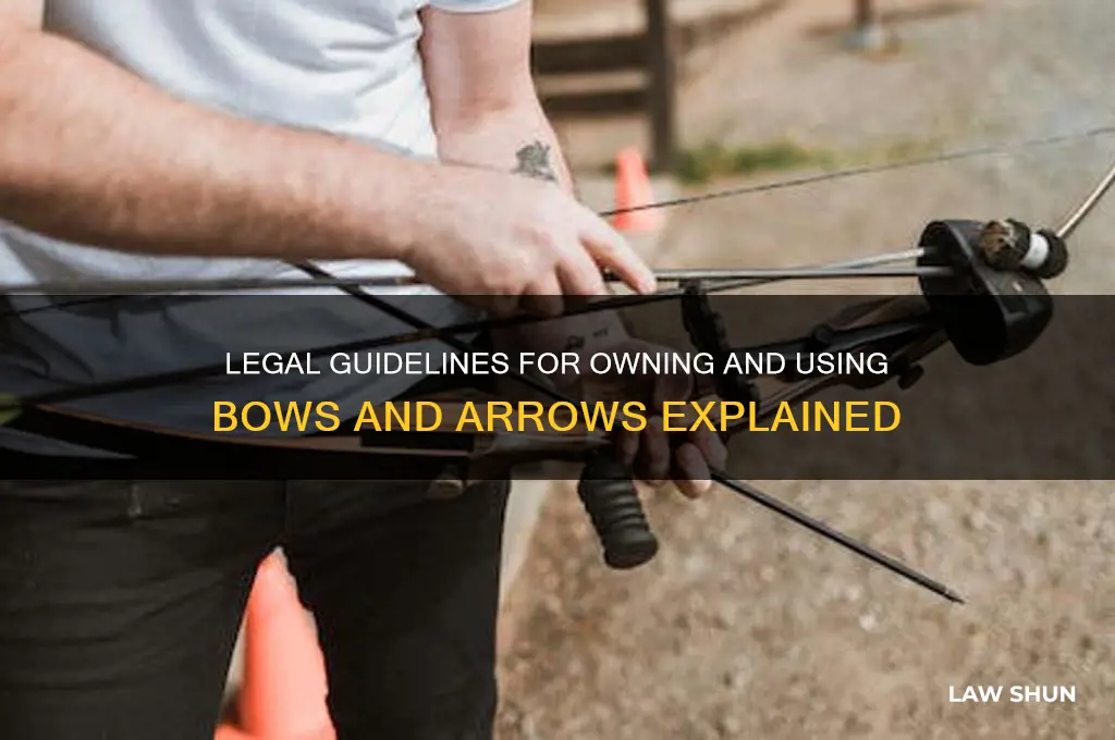 Legal Guidelines For Owning And Using Bows And Arrows Explained | LawShun