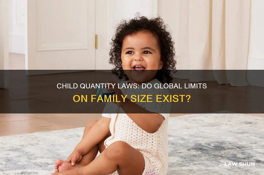 Child Quantity Laws: Do Global Limits On Family Size Exist? | LawShun