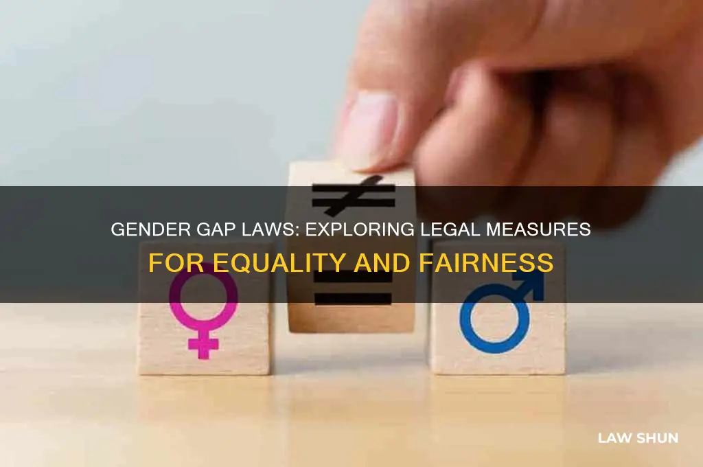 Gender Gap Laws: Exploring Legal Measures For Equality And Fairness ...