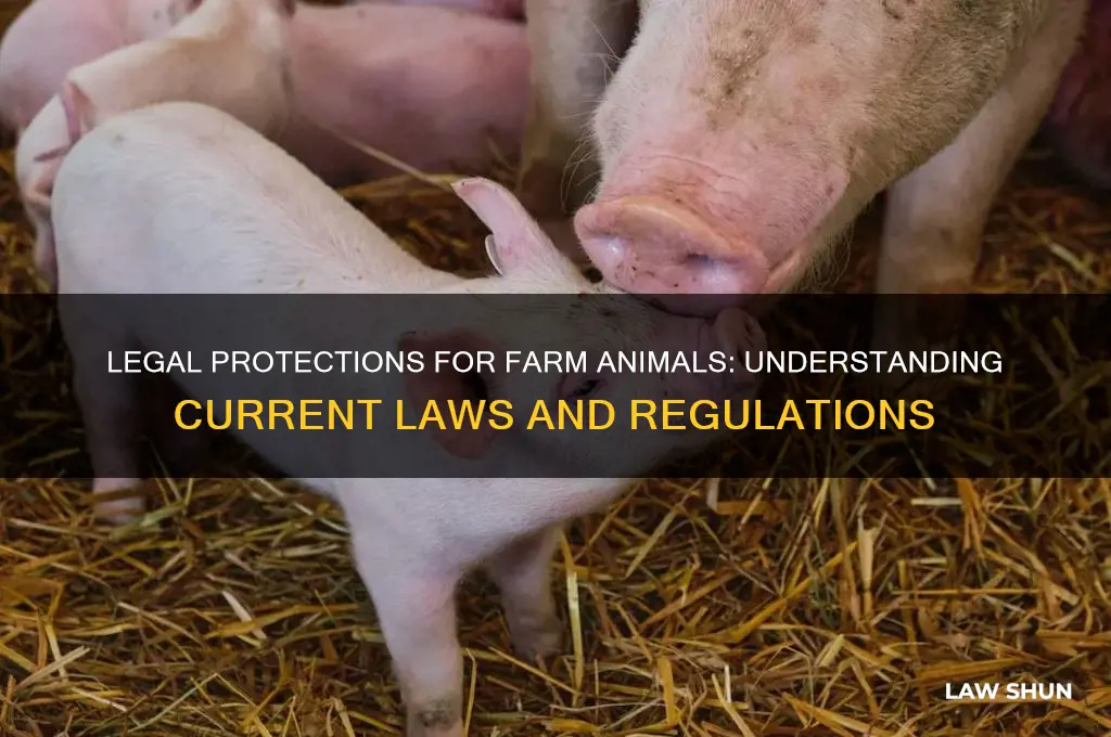 Legal Protections For Farm Animals: Understanding Current Laws And ...