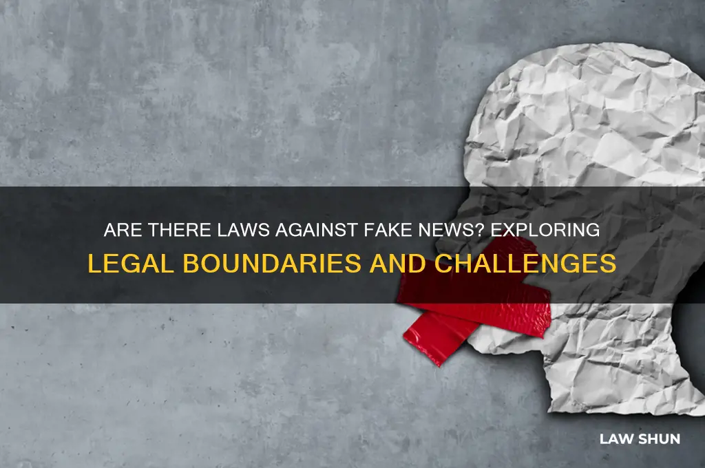 Are There Laws Against Fake News? Exploring Legal Boundaries And ...