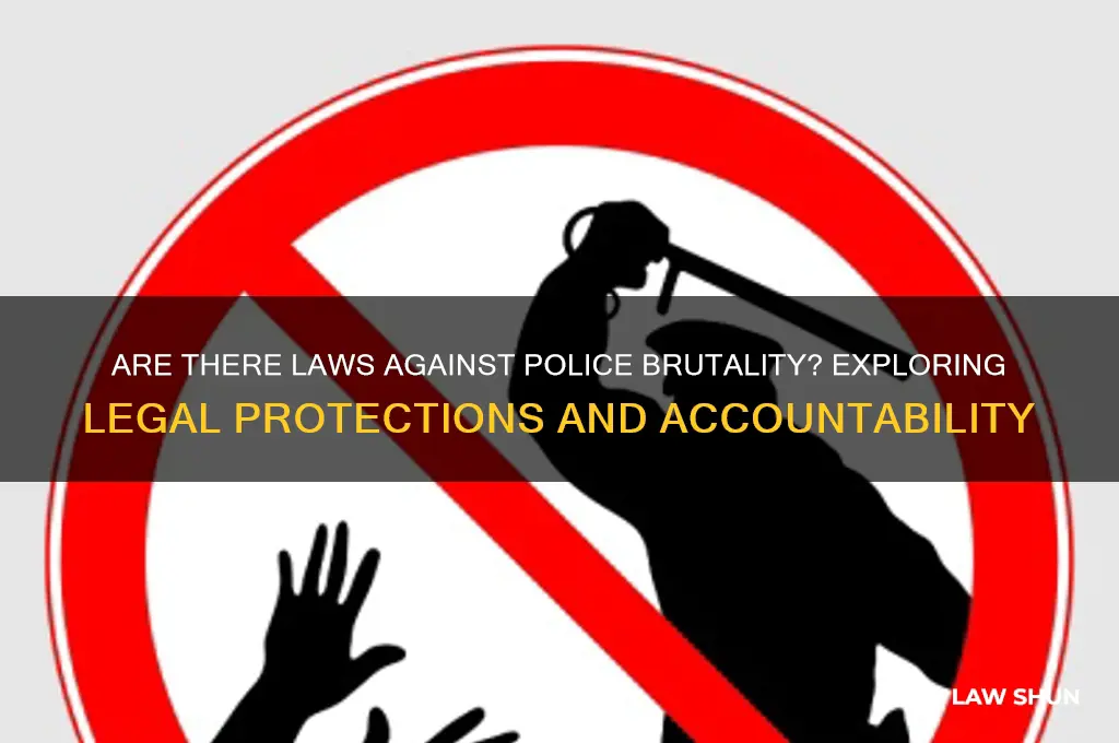Are There Laws Against Police Brutality? Exploring Legal Protections ...