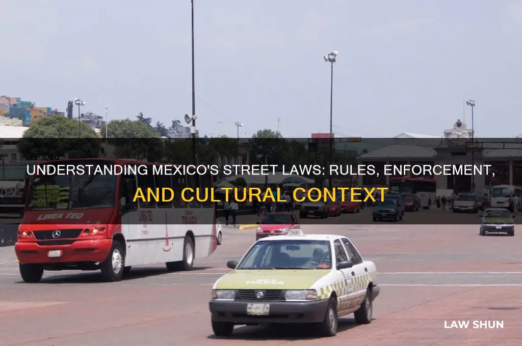 Understanding Mexico's Street Laws: Rules, Enforcement, And Cultural ...