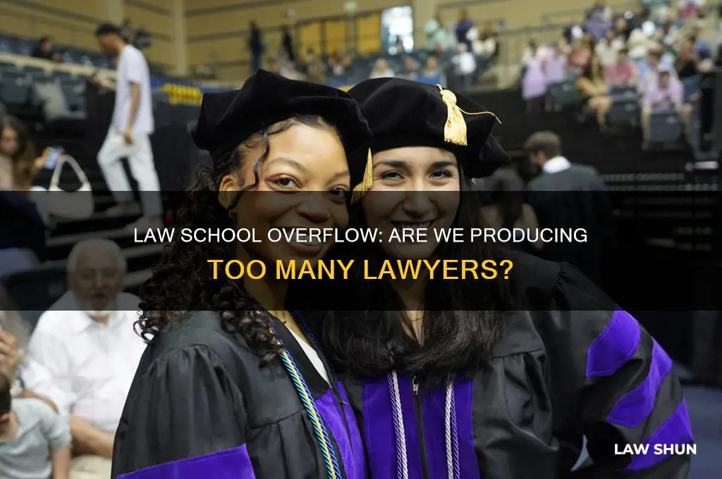 Law School Overflow: Are We Producing Too Many Lawyers? | LawShun