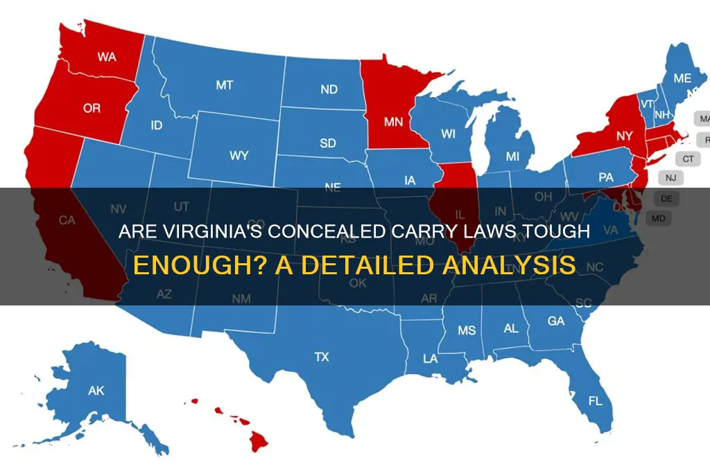 Are Virginia's Concealed Carry Laws Tough Enough? A Detailed Analysis ...