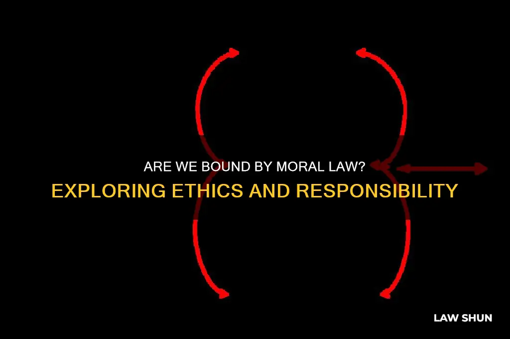 Are We Bound By Moral Law? Exploring Ethics And Responsibility | LawShun