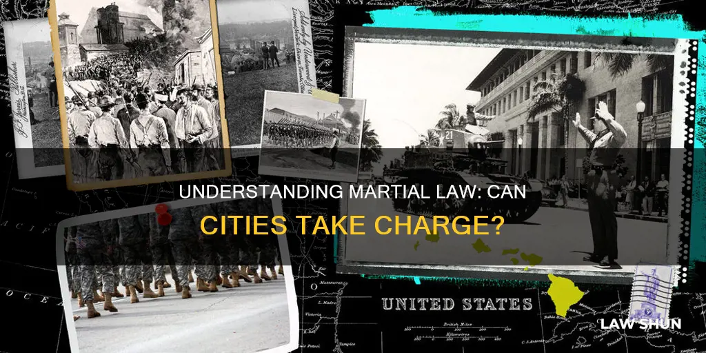 Understanding Martial Law: Can Cities Take Charge? | LawShun