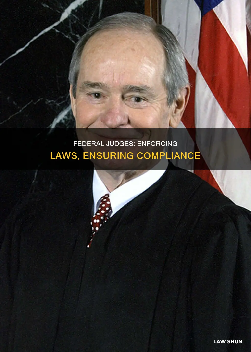 Federal Judges: Enforcing Laws, Ensuring Compliance | LawShun