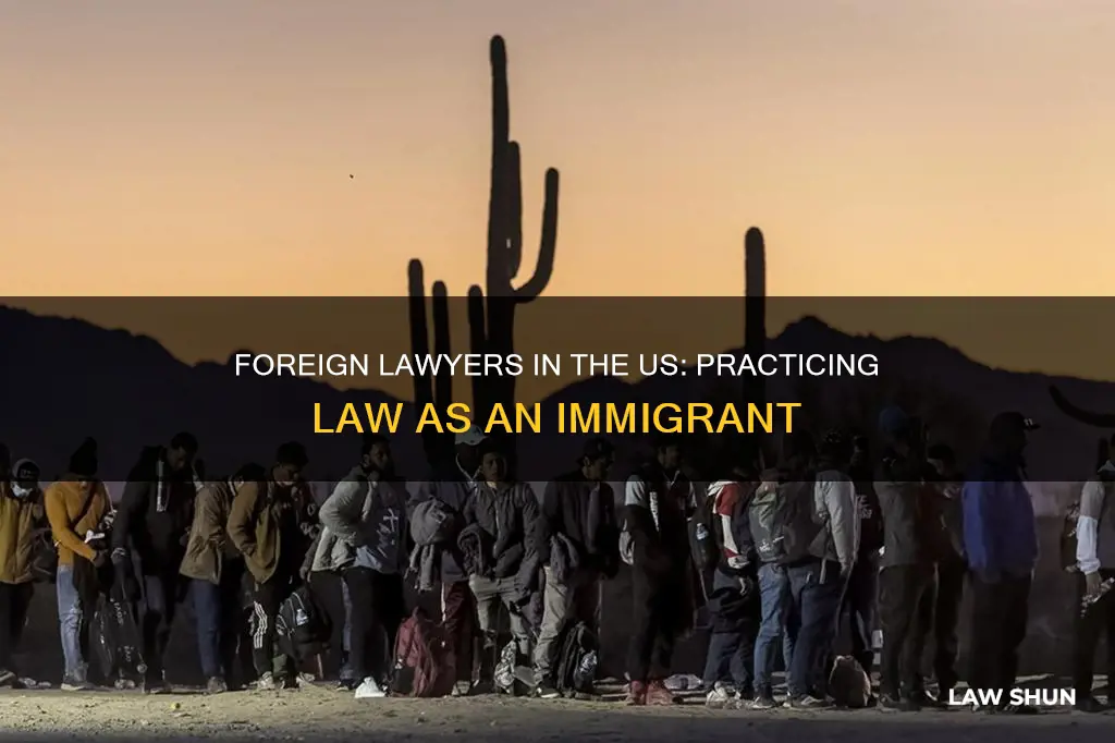 Foreign Lawyers In The Us: Practicing Law As An Immigrant | LawShun