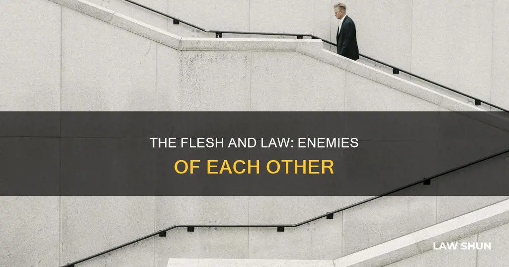 The Flesh And Law: Enemies Of Each Other | LawShun
