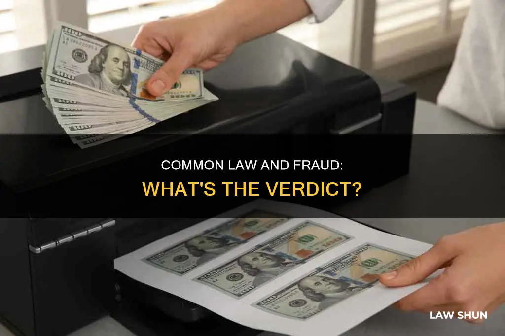 Common Law And Fraud: What's The Verdict? | LawShun