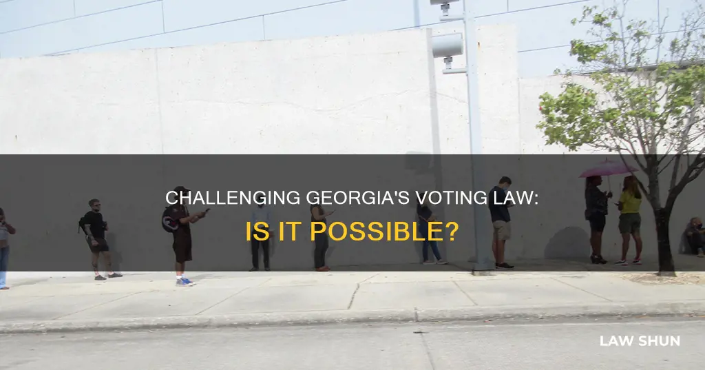 Challenging Georgia's Voting Law: Is It Possible? | LawShun